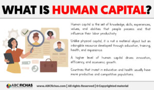 What is Human Capital | Definition of Human Capital
