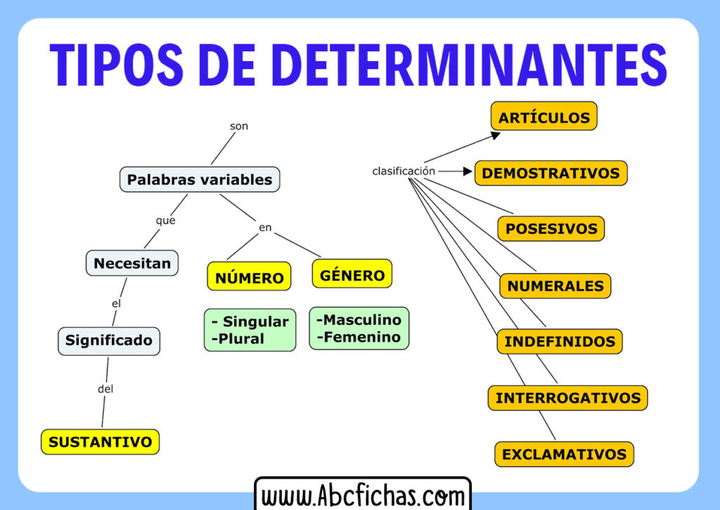 Los Determinantes Clasificacion Y Ejemplos Gramatica Edutuber – Bilarasa Los Determinantes Clasificacion Y Ejemplos Gramatica Edutuber – Bilarasa
