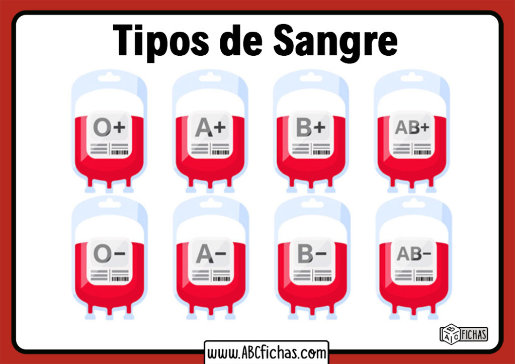 Tipos de Sangre y Grupos Sanguíneos que existen