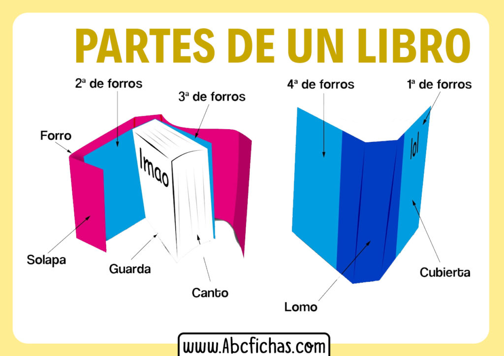 Estructura y Partes de un Libro