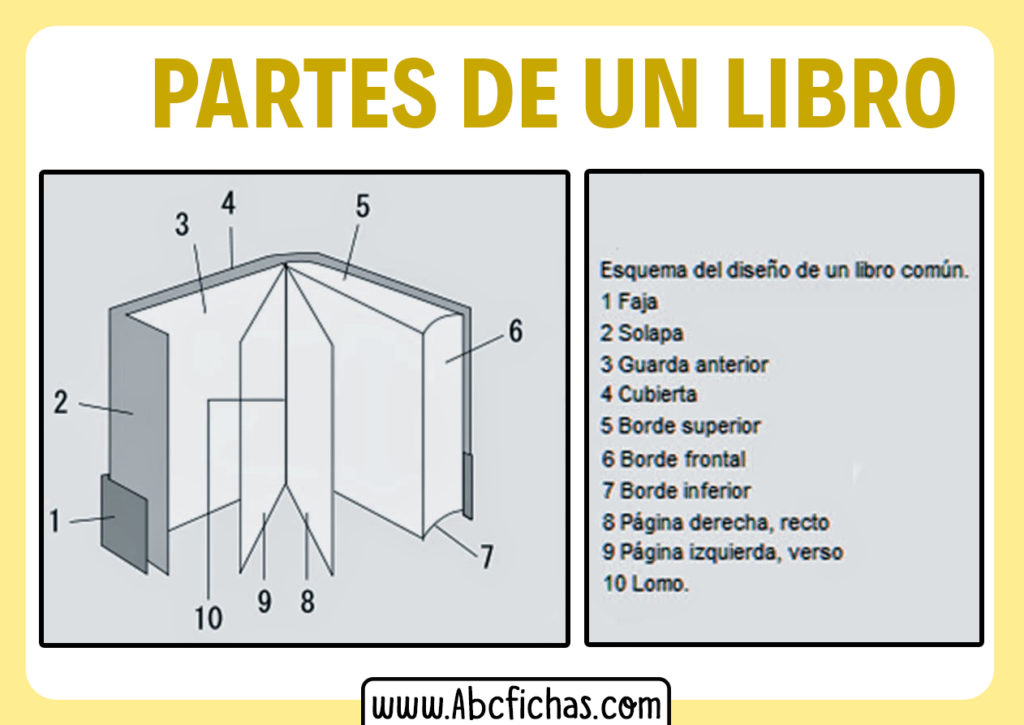 Estructura y Partes de un Libro