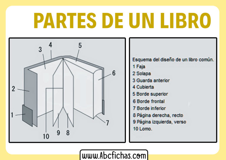 Estructura y Partes de un Libro