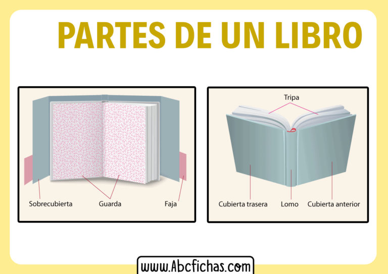 Estructura y Partes de un Libro