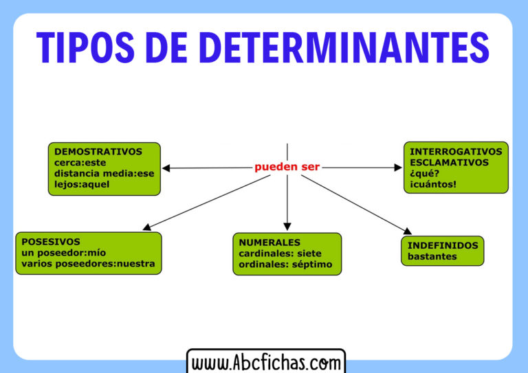 Clasificación de los Determinantes | Tipos de Determinantes