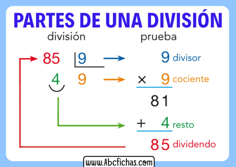 Partes de una División | Dividendo, Divisor, Cociente y Resto