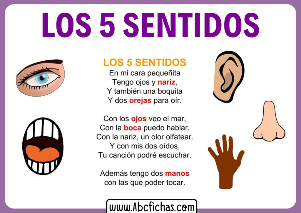 Poema de los 5 sentidos - ABC Fichas