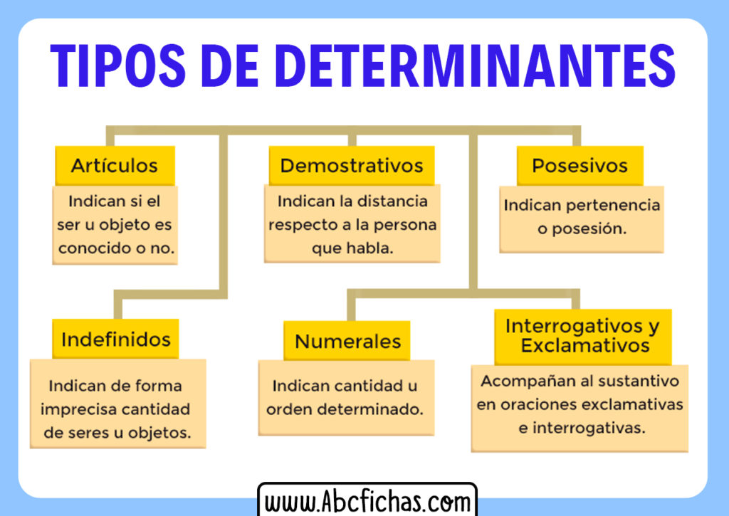 Tipos de determinantes - ABC Fichas