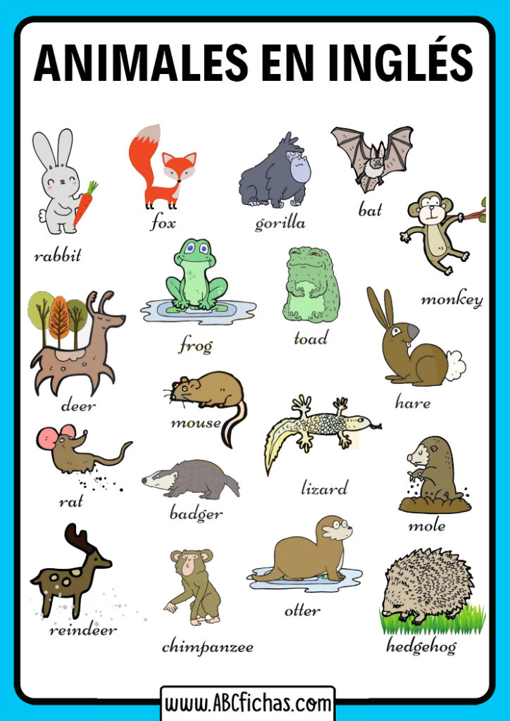 Vocabulario de Los Animales en Inglés para Niños