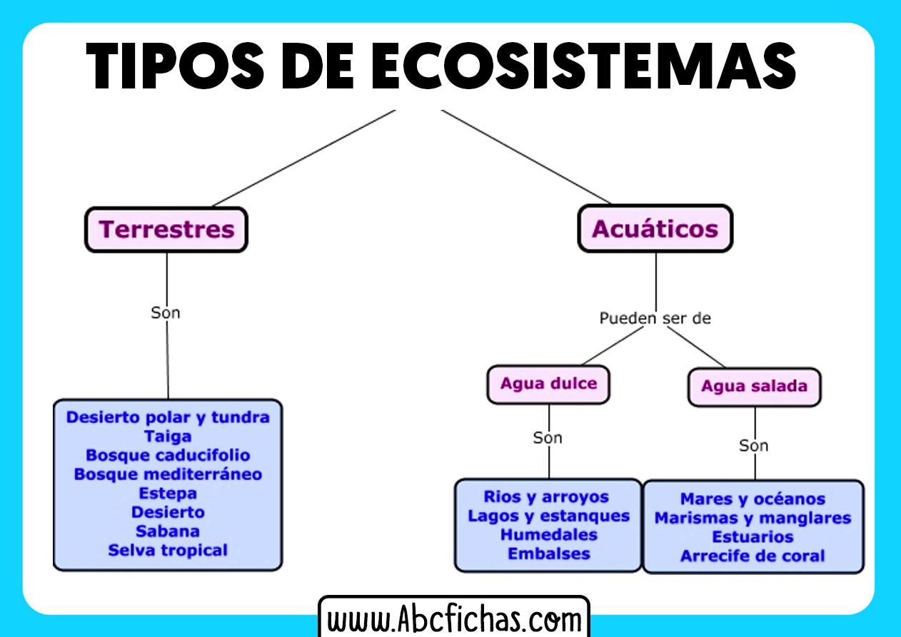 Clasificacion tipos de ecosistemas - ABC Fichas