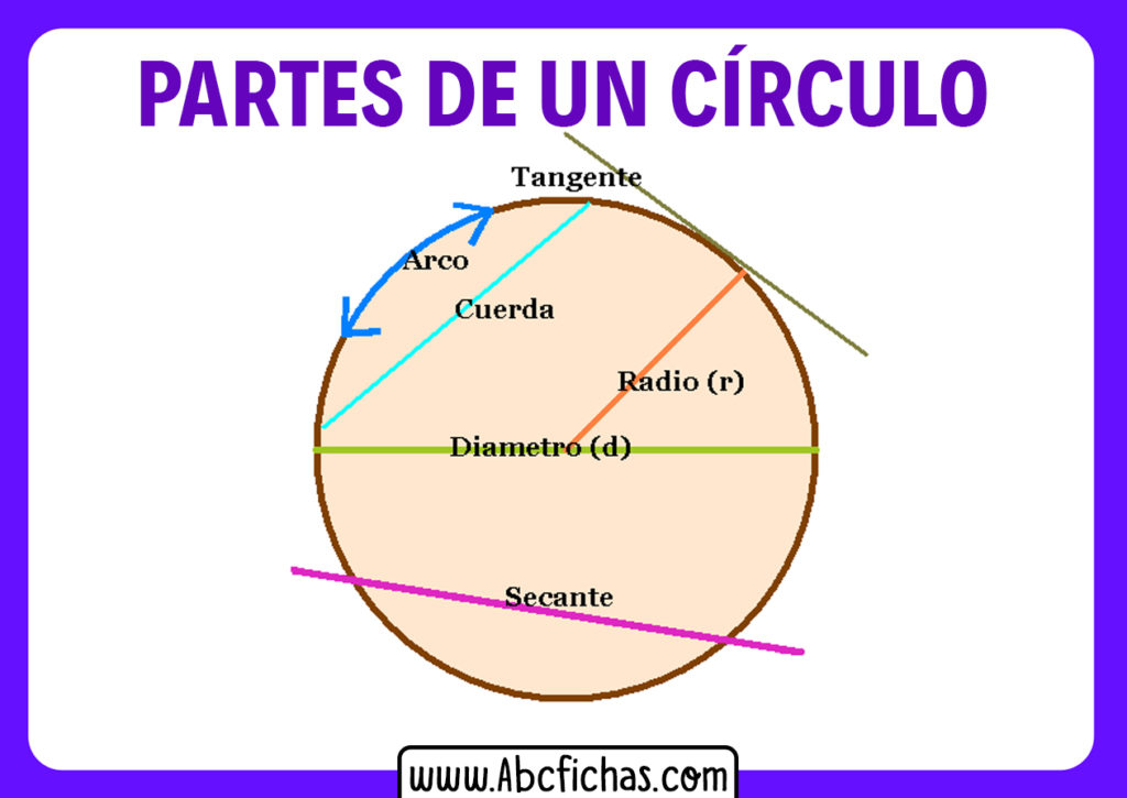 Estructura y Partes del Círculo y de la Circunferencia