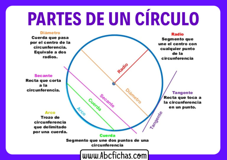 Las partes de un circulo - ABC Fichas Las partes de un circulo - ABC Fichas