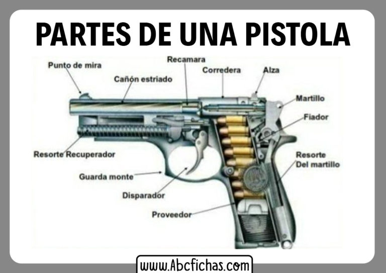 Partes de una Pistola y Revolver | Como funciona una Pistola
