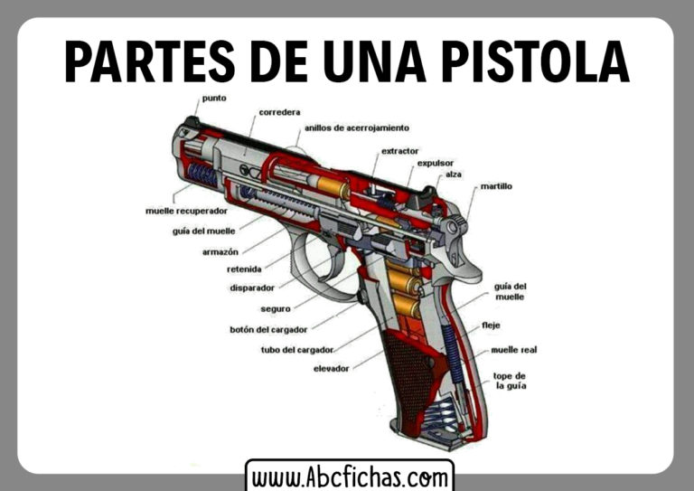Partes de una Pistola y Revolver | Como funciona una Pistola