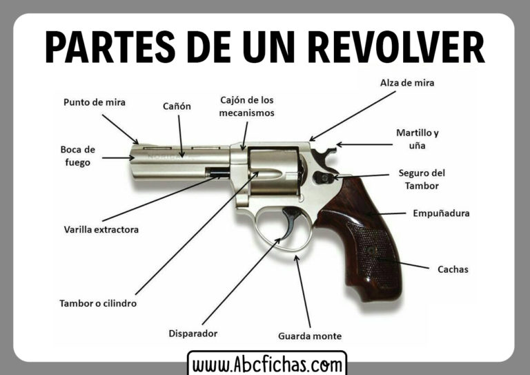Partes de un revolver - ABC Fichas