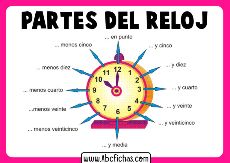 Partes del Reloj | Aprendiendo La Hora y la estructura del Reloj