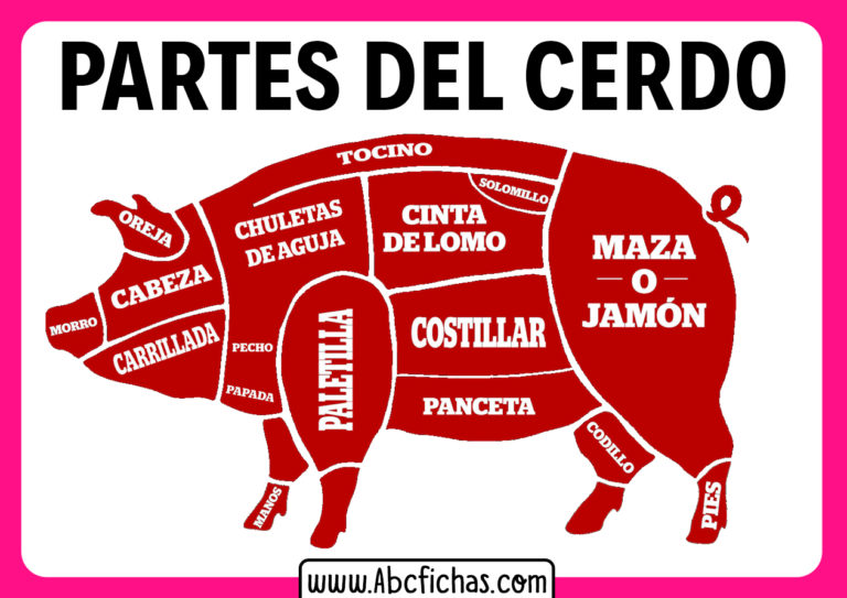 Partes que se comen del cerdo - ABC Fichas