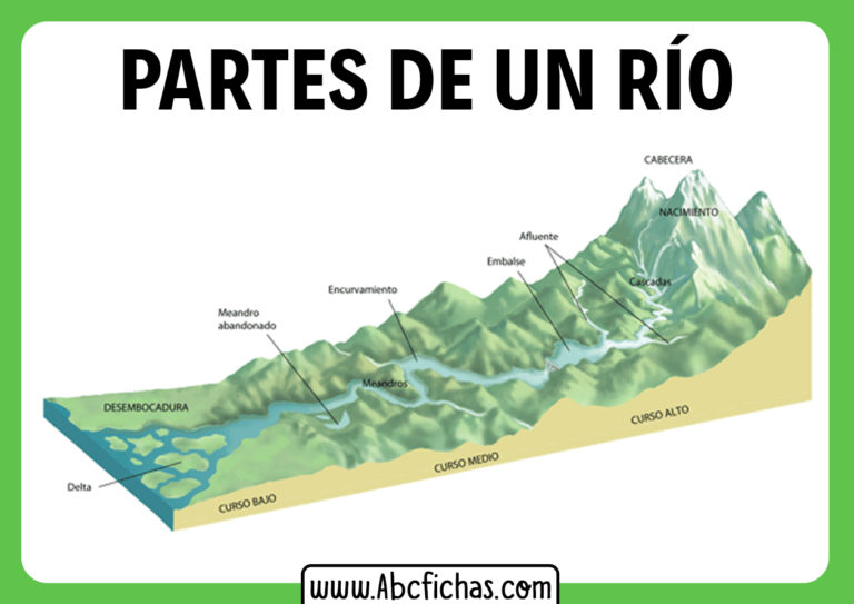 Partes y cursos de un rio - ABC Fichas