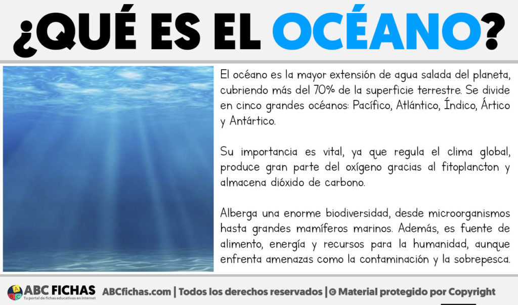 Qué es el Océano | Definición del Océano
